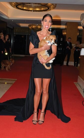 Sokak Hayvanları İçin Buluştular - MAG | Özgün İçerik Sunan, Yüzde Yüz ...